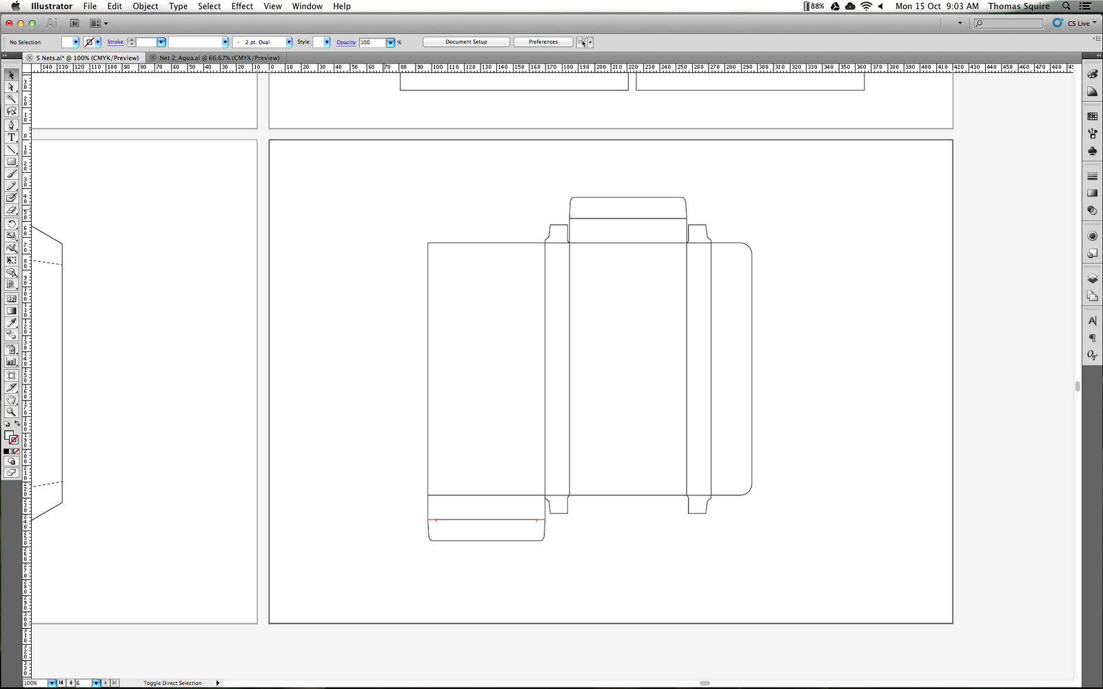 Branding to Packaging: Modifying a Net | Design Practice