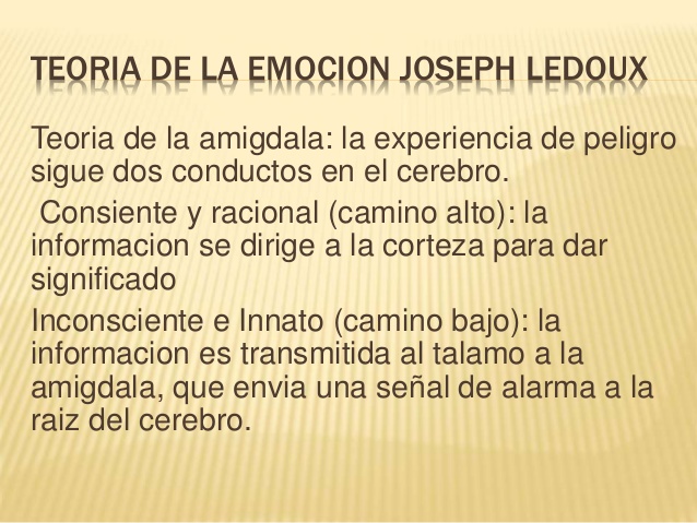 EL CEREBRO EMOCIONAL (ENTREVISTA A JOSEPH E. LEDOUX)