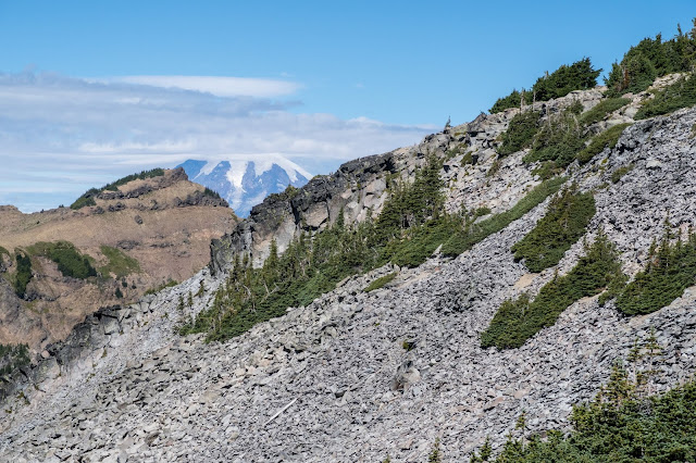 Eric's Hikes: Goat Rocks Wilderness: Goat Lake Loop and Old Snowy