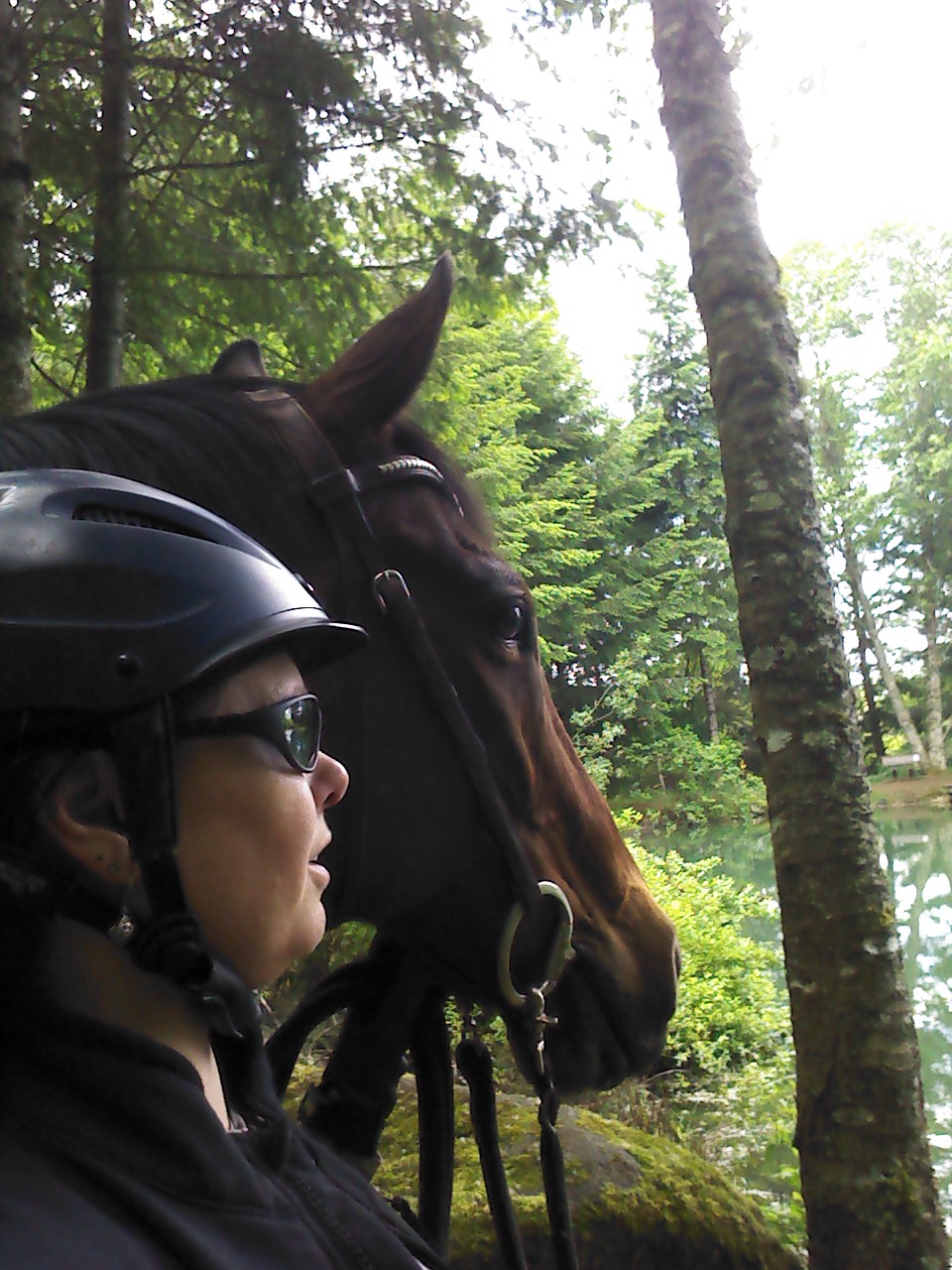 All Horse Stuff: A day riding , pondering