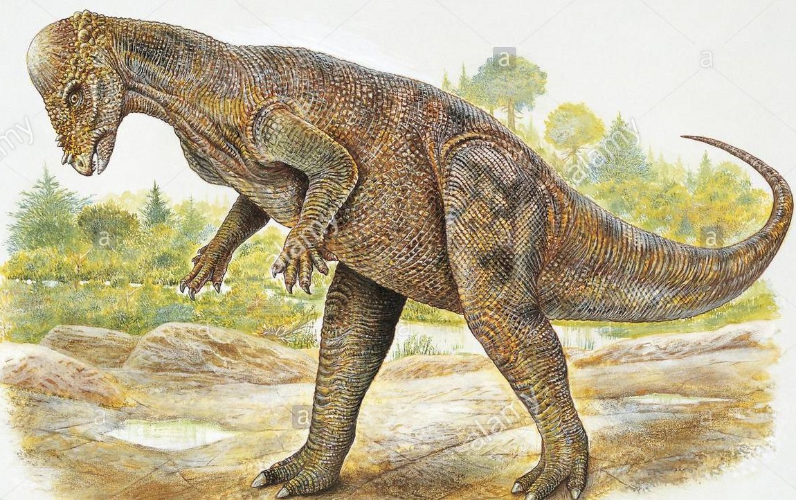 O mundo incrível da pré-história: Paquicefalossauro