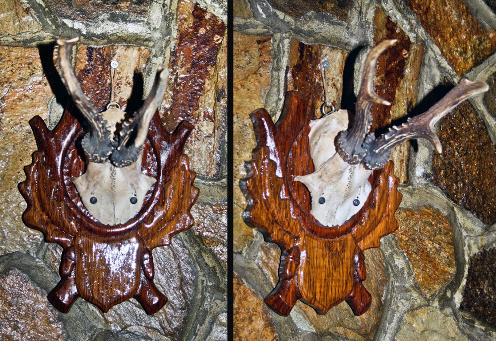 panoplii de vanatoare: trofee de vanatoare, coarne