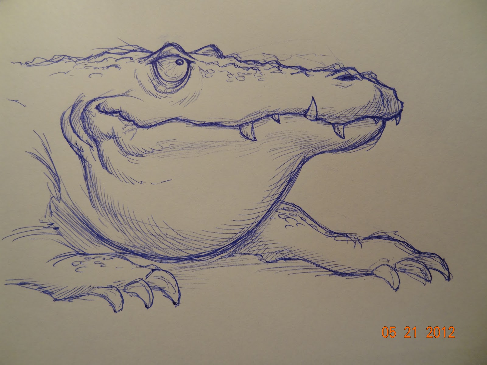 LINELINGO: Gator sketch