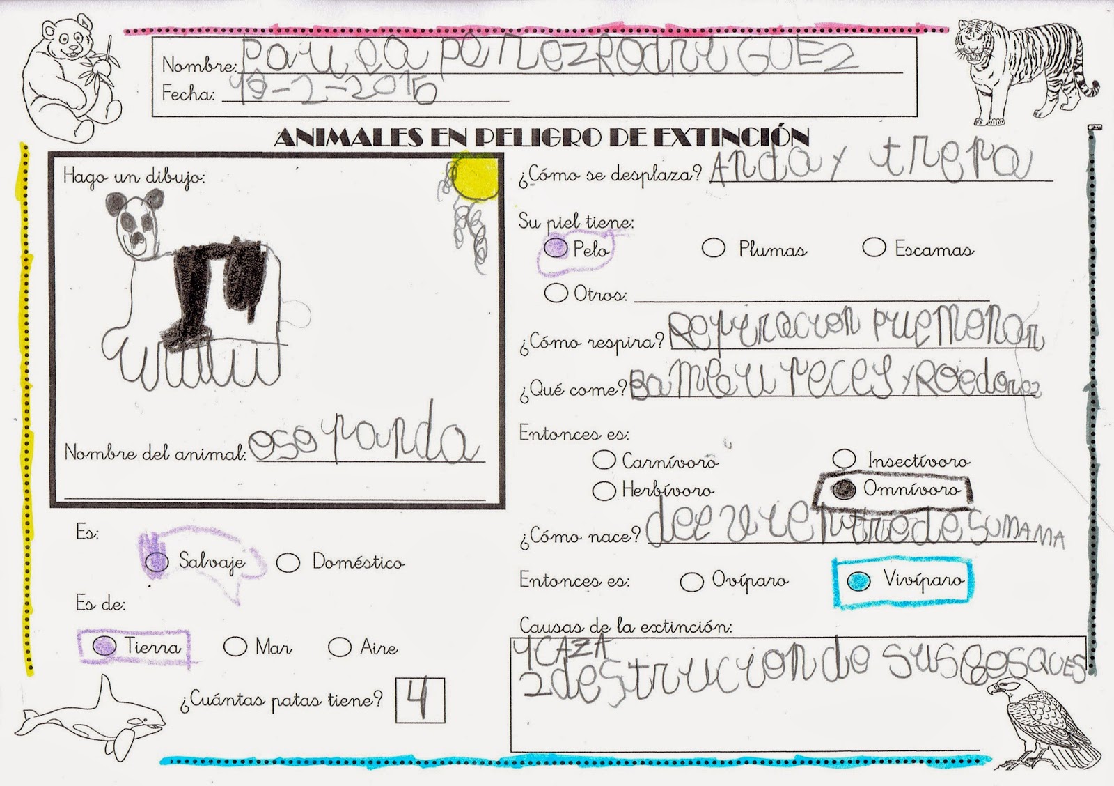 CAMINITOS DE ILUSIÓN: CONOCEMOS A LOS OSOS PANDA