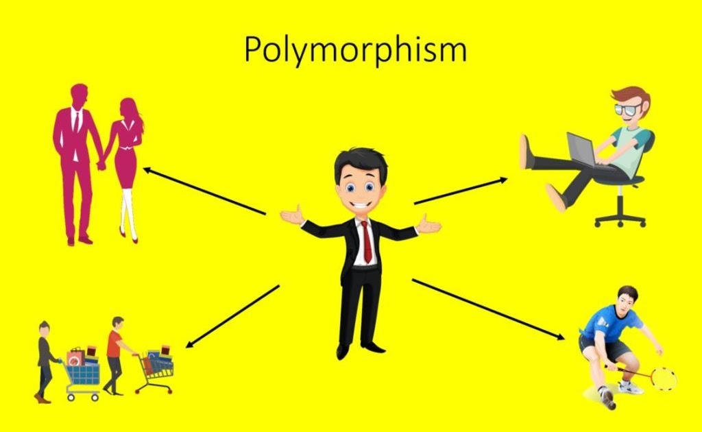 PBO - POLIMORFISME ~ KLASIBER SKANJA