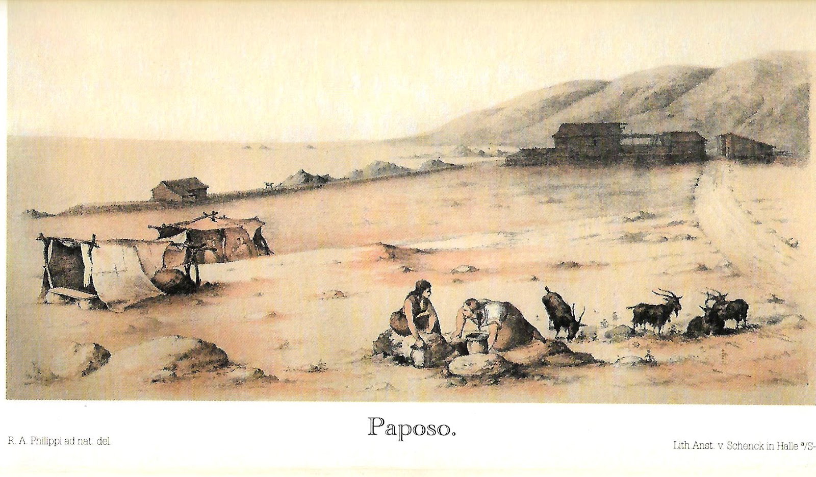 Eco-antropología: ¿Quedan aún grupos indígenas changos en las costas de ...