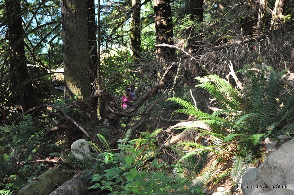 And Willie Said: Exploring Homfray Lodge - 8/3/2012