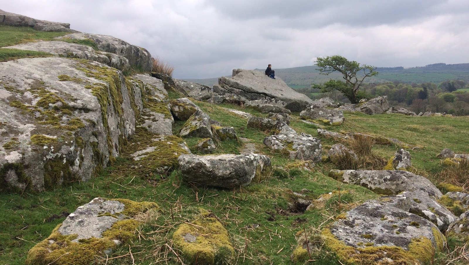 Max Piper - Tor Bagger: Dartmoor: Pew Tor and Heckwood Tor