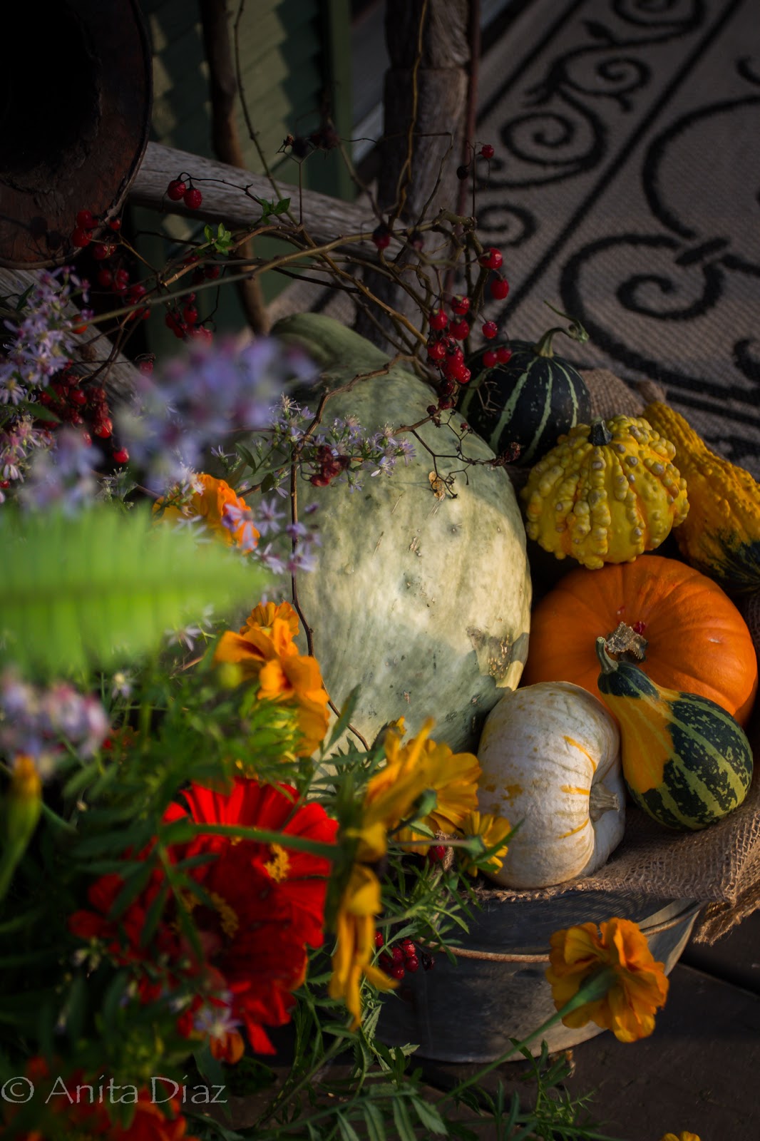 Fall Farmhouse Porch - Whispering Pines Homestead