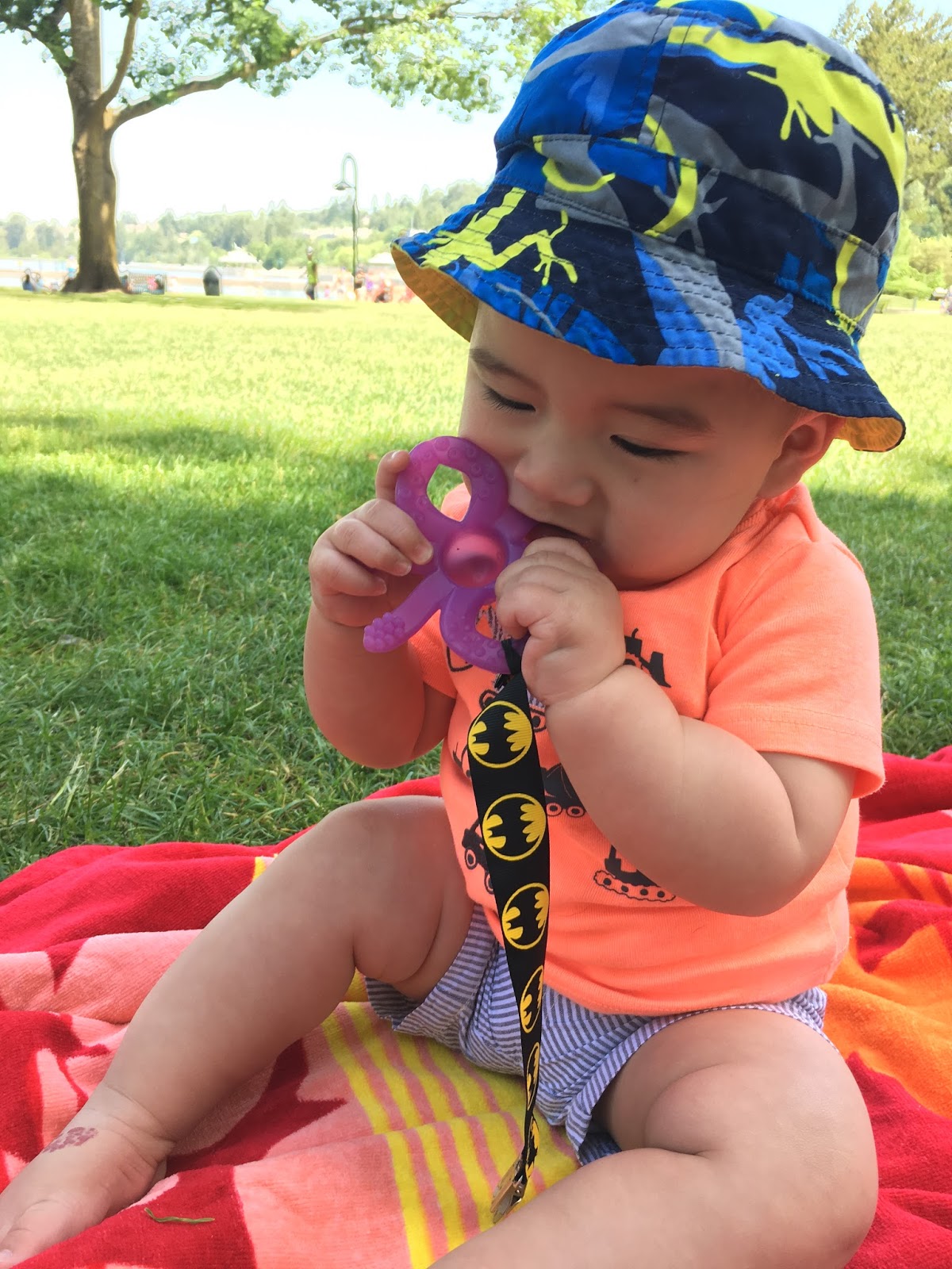 baby-days-6-9-months
