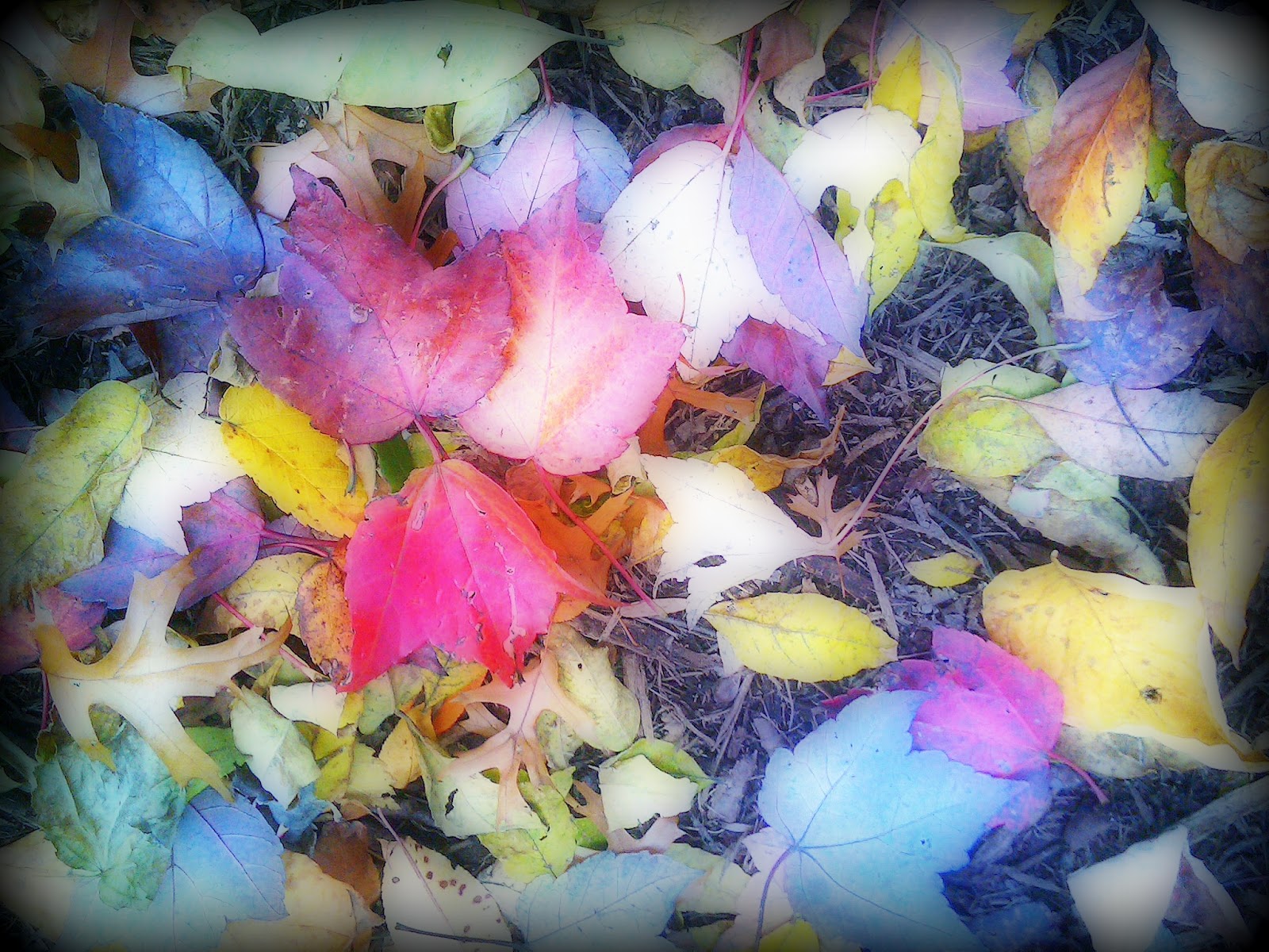 NYDesignGuy, Get Inspired!: Fall Color Trends...