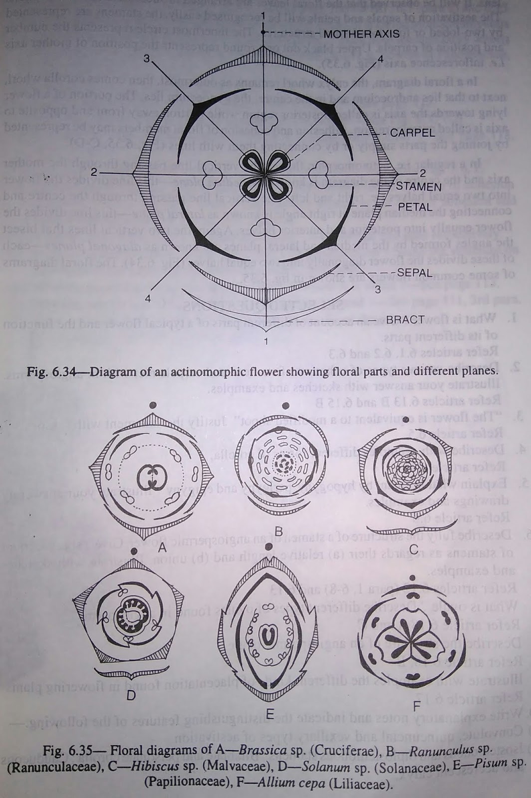 What is floral formula and floral diagram- digieduco