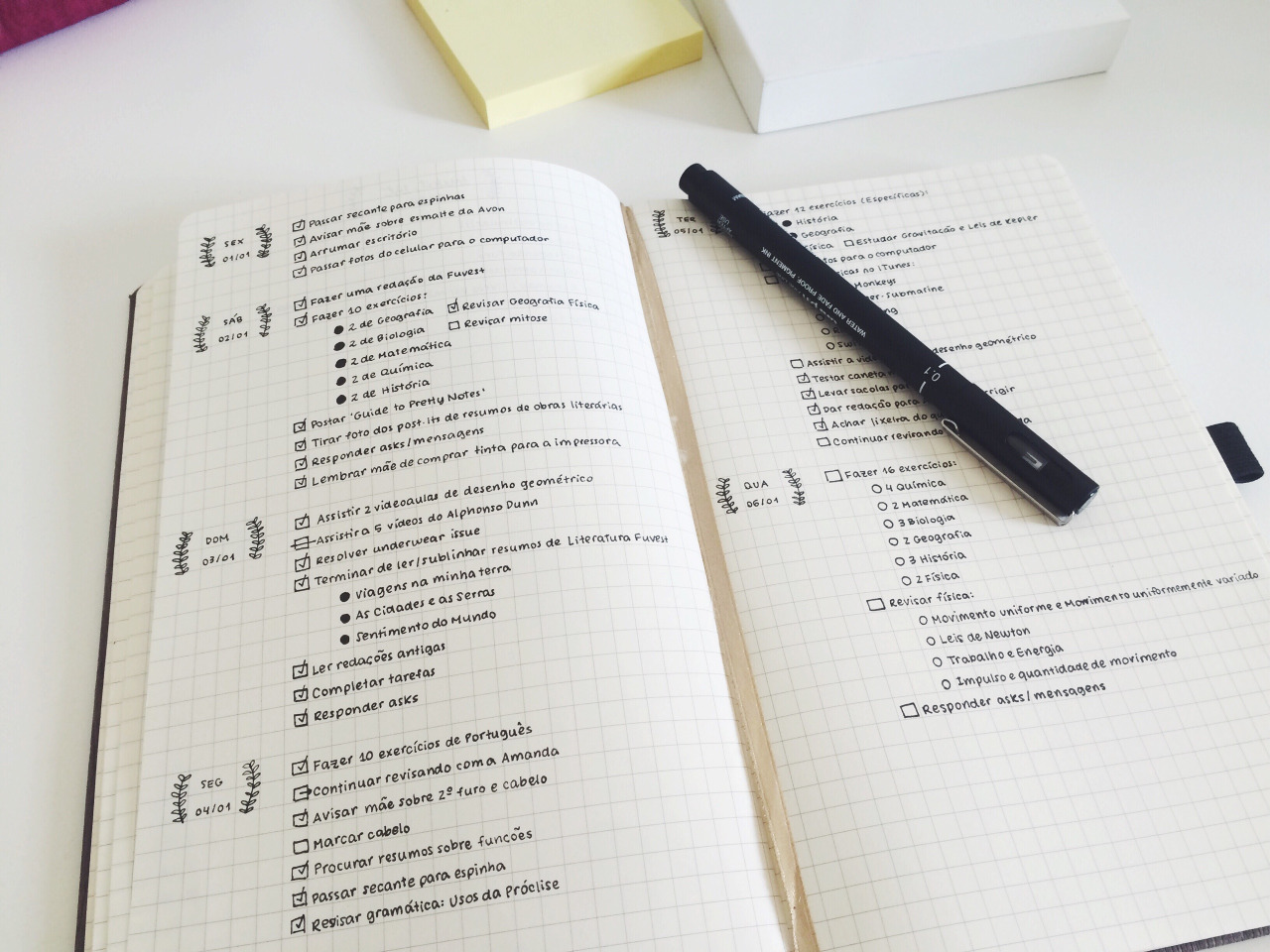 LBG│Bullet Journal en español: junio 2016