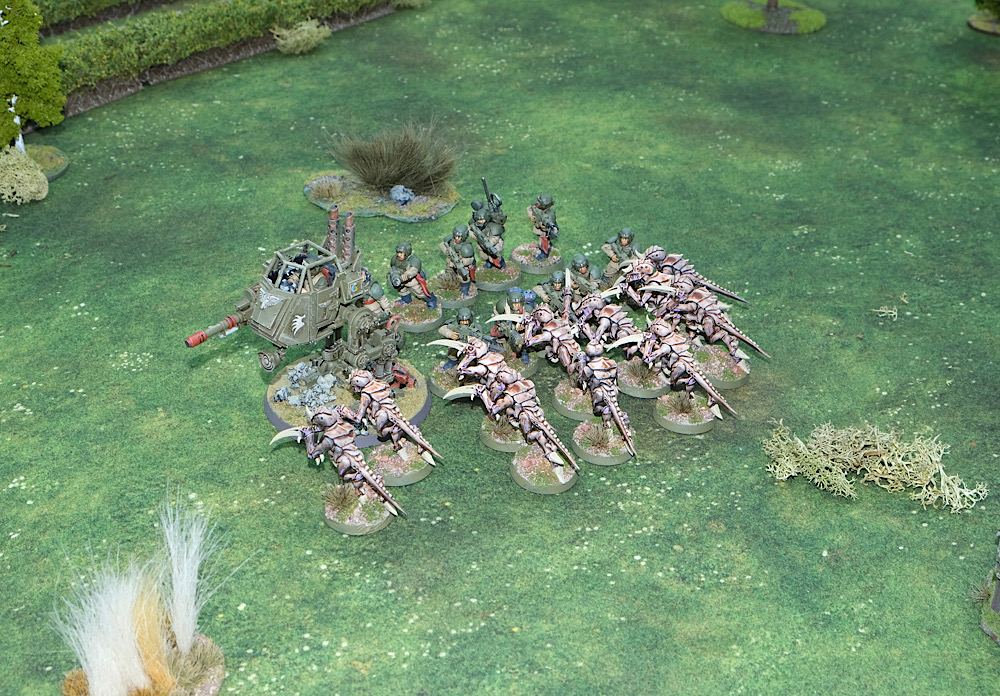 Battlefields and Warriors: A new Pocket Army with a Sci-Fi setting.