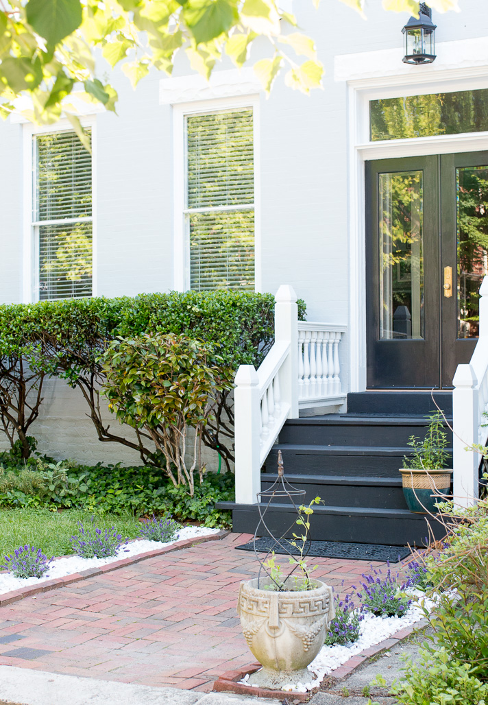 Landscaping with Herbs: A Lavender Lined Walk | 17 Apart