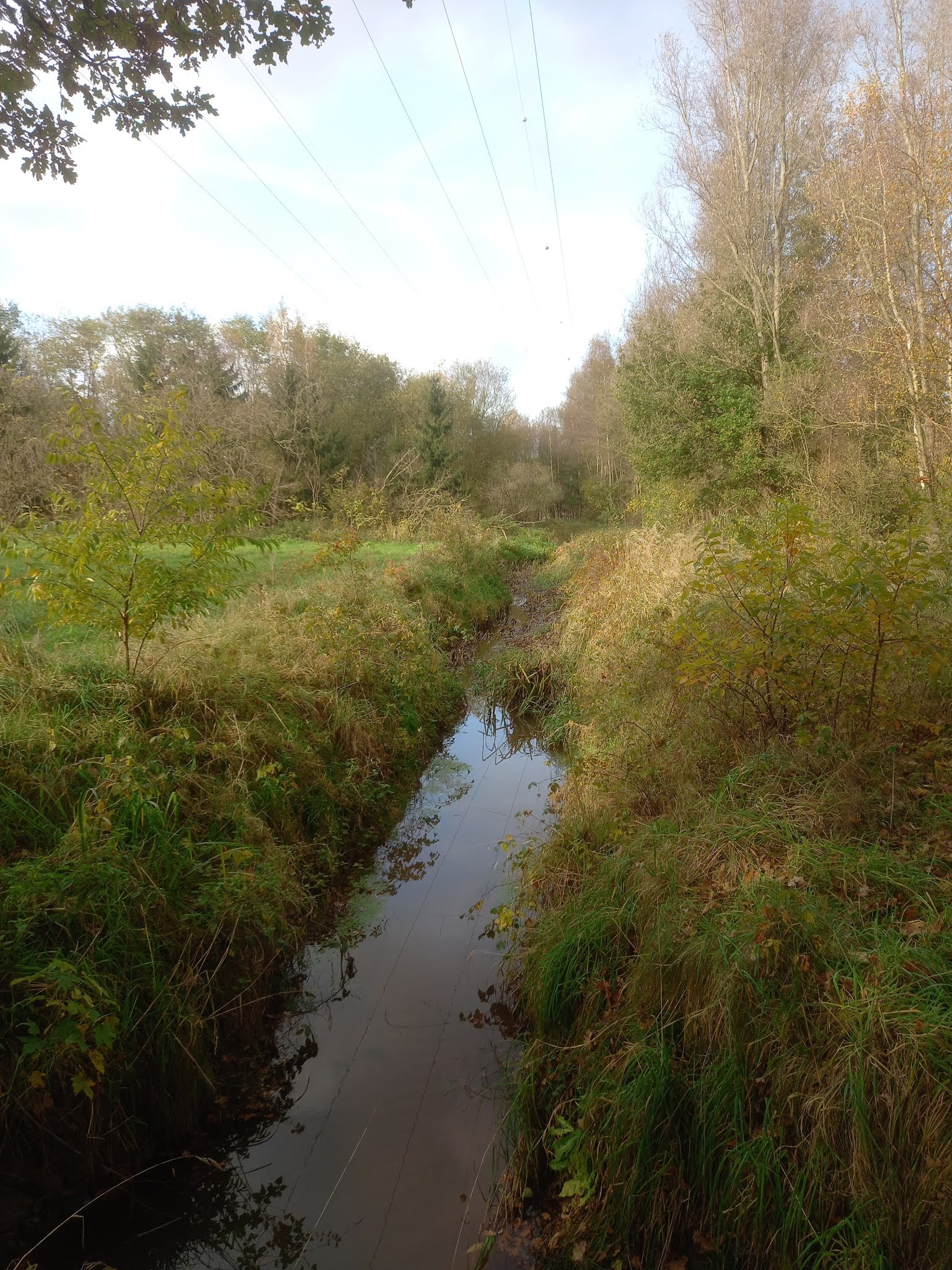 Walking Jeff: wandeling 2980 Zoersel: 14 km.