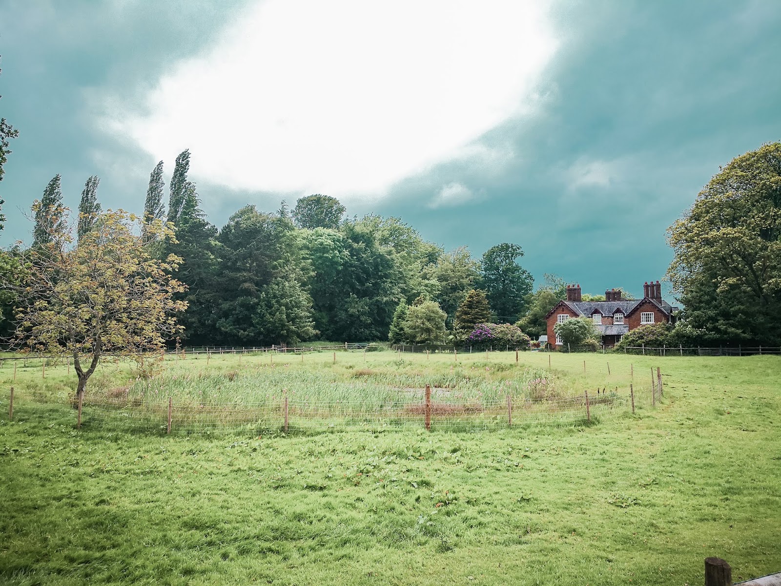 TATTON PARK - THE FARM - Hi5 the world
