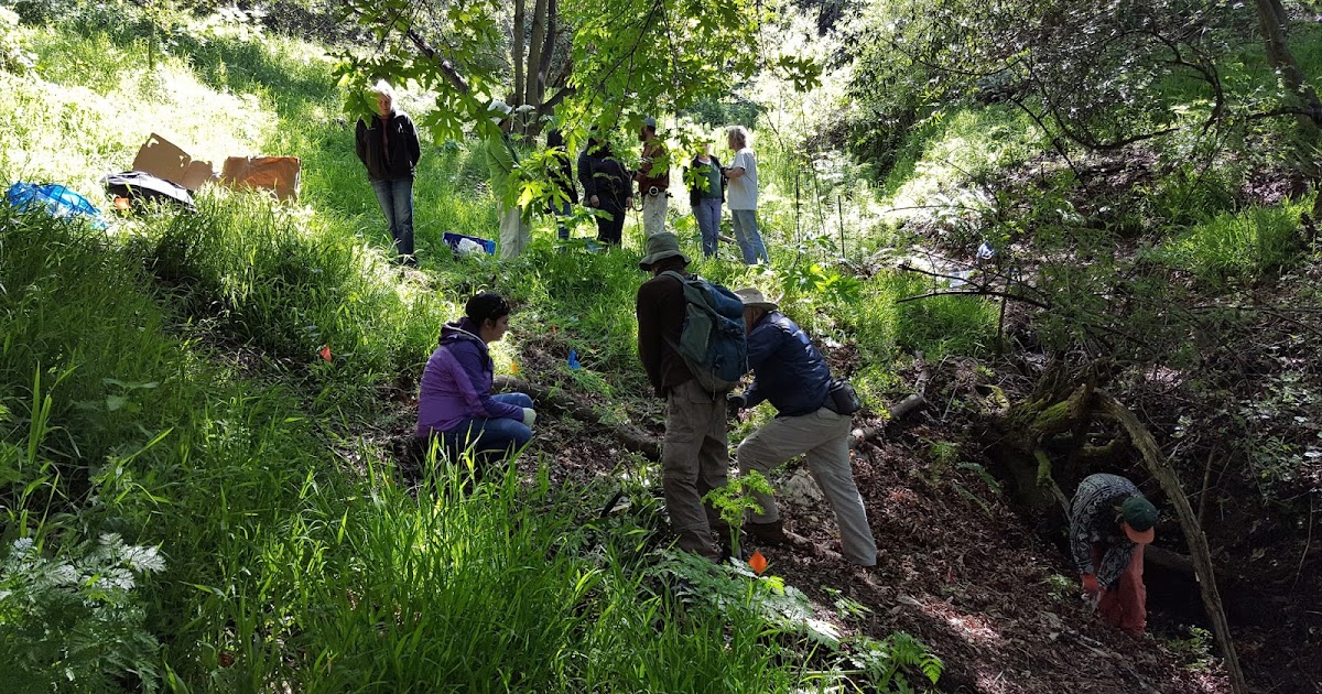 Garber Park Stewards: Springtime in Garber