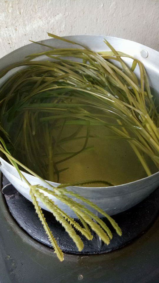 Pedaling Pinoy: Work it out with Paragis: Its benefits while cycling or ...