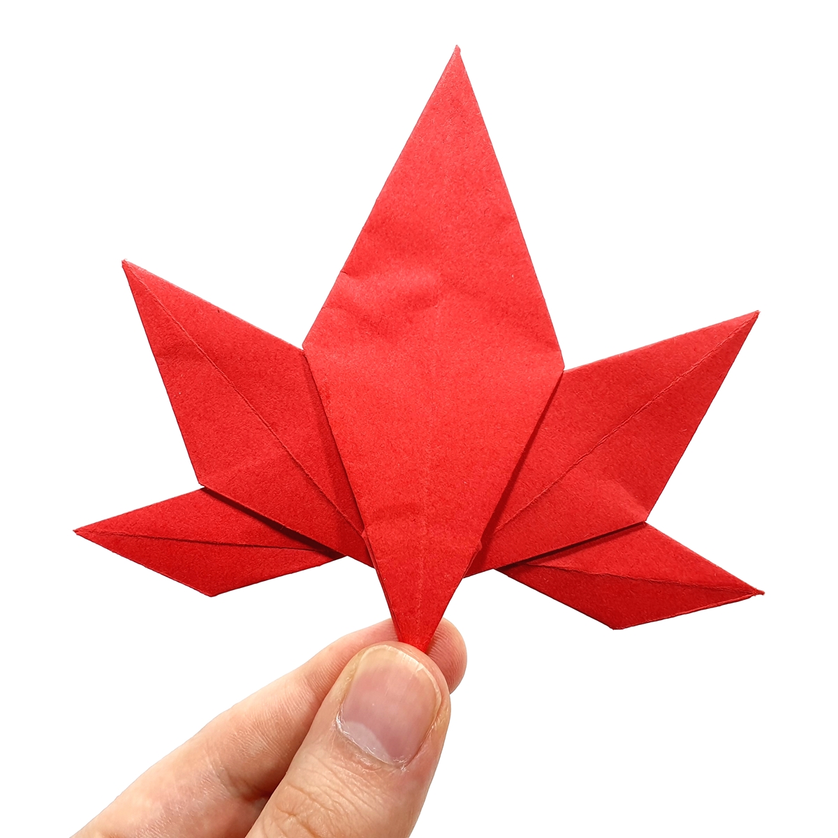 Mariano-Mi mundo el Origami: Japanese Maple Leaf
