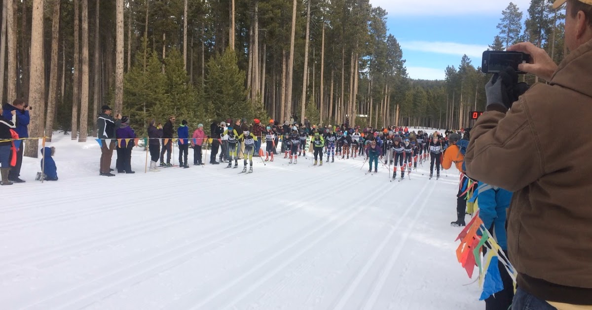 Scout Nordic News: Busy Week Ahead
