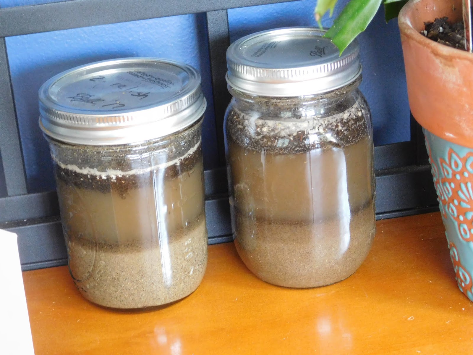 100 Days of Science #87-- Sediment Layer Jars