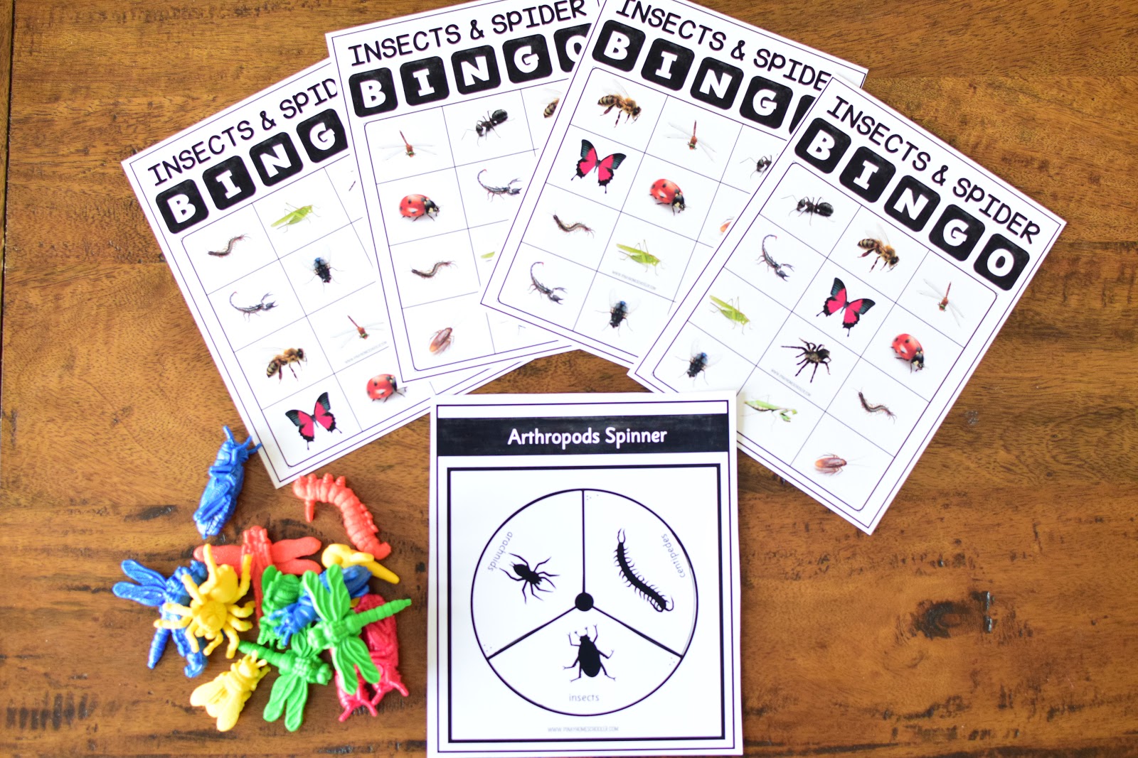 Insect Themed Lesson Plans for Kindergarten to First Grade | The Pinay ...