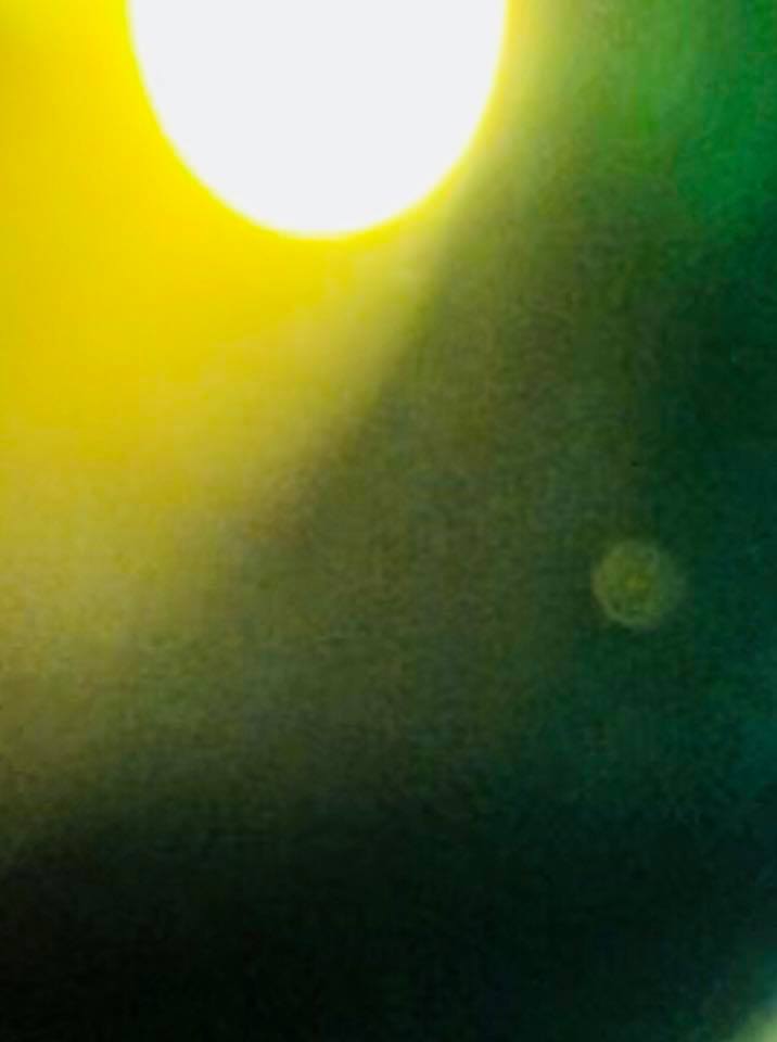 VER(P)LICHTE KOST: Gina Maria Colvin Hill ~ Meer foto's van haar fb account