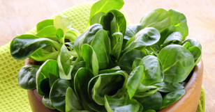 Spanać sa belim lukom i mlekom