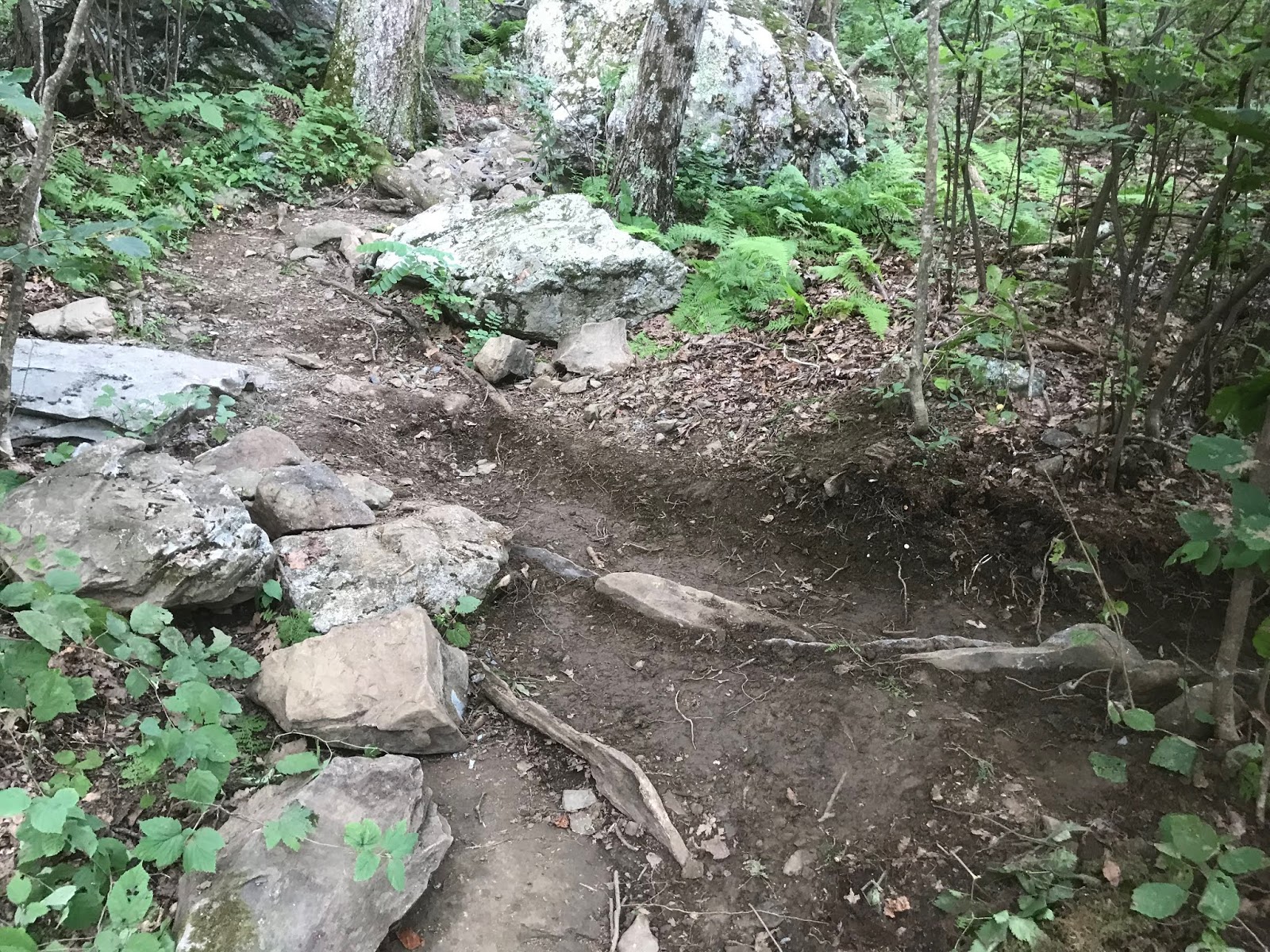 Triumphant, Transcendent, Trailbuilding!