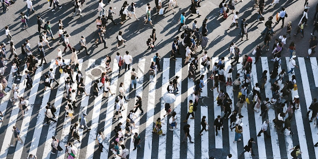 People Complexity Can Require a Special Roadmap | Process News