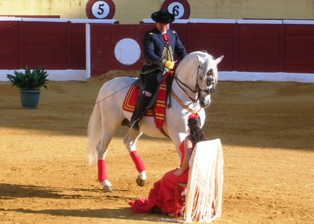 I cavalli: tutta la mia vita: razza: Andaluso