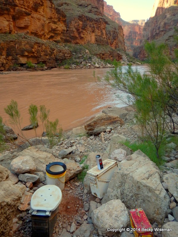 kinexxions: Settling in to the Daily Routine and Adjusting to Life on ...