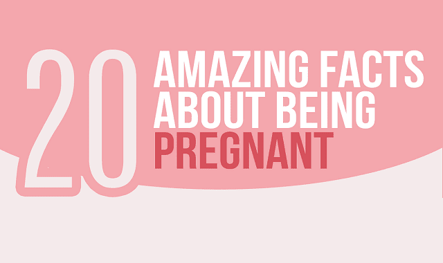 20 Amazing Facts About Pregnancy #Infographic - Visualistan