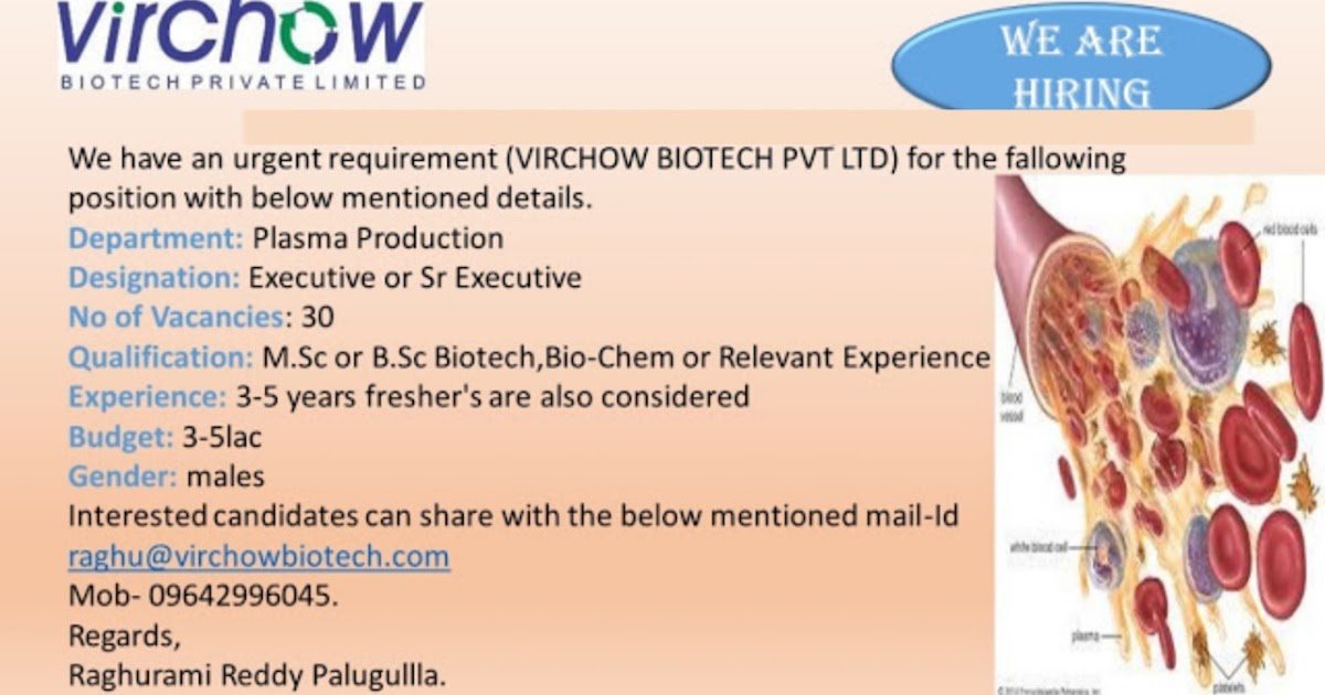 Virchow Biotech Urgent Multiple Openings for Freshers and Experienced ... Virchow Biotech Urgent Multiple Openings for Freshers and Experienced ...