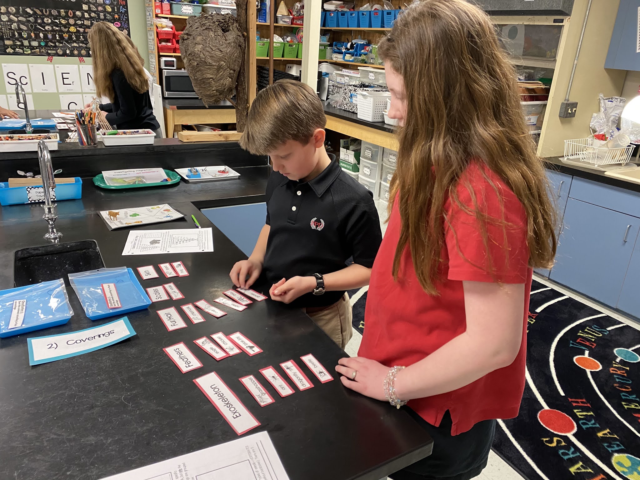 FPD Elementary Science Lab: 5th Grade: Animal Classification