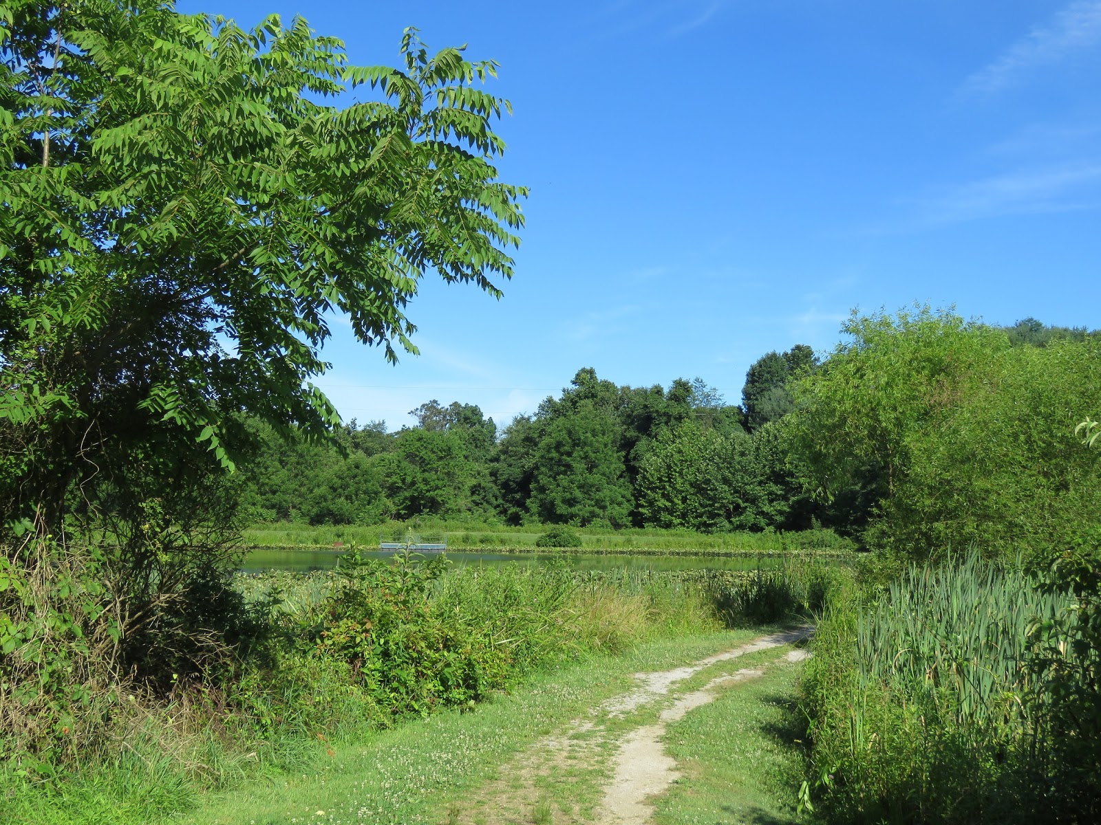 Viewing nature with Eileen: Hashawha Nature Center