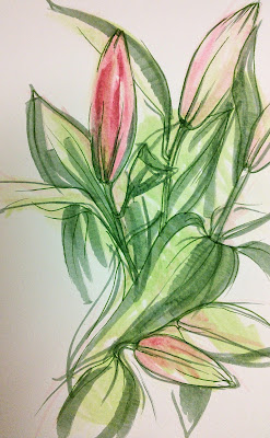 Feel. Create. Repeat.: Lilies, drawing three.
