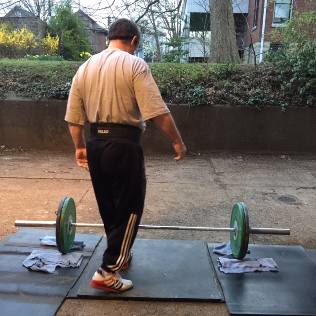 Dinosaur Training: The Goal Directed Workout