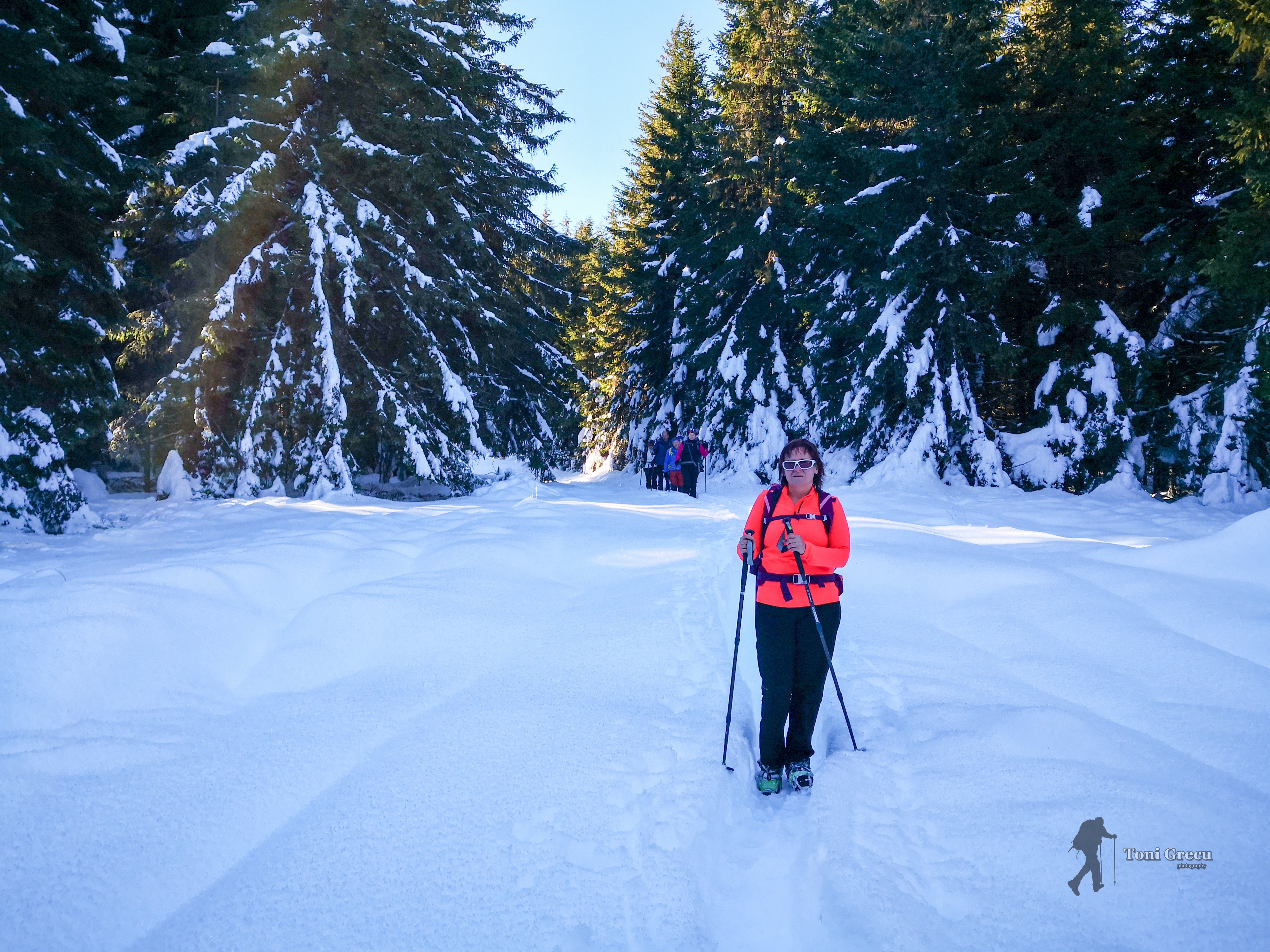 Varful Prejba - Cabana Prejba. Muntii Lotrului ~ Jurnal de drumeții