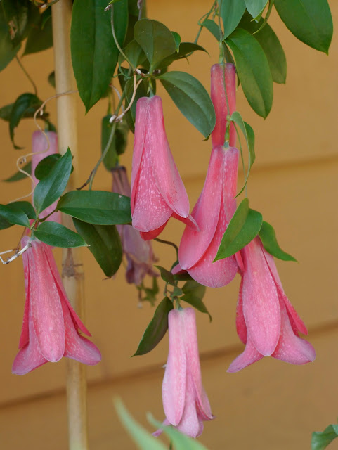 September Combinations