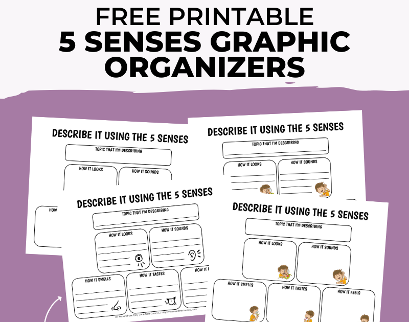 Free Printable 5 Senses Graphic Organizers And Next Comes L free-printable-5-senses-graphic-organizers-and-next-comes-l
