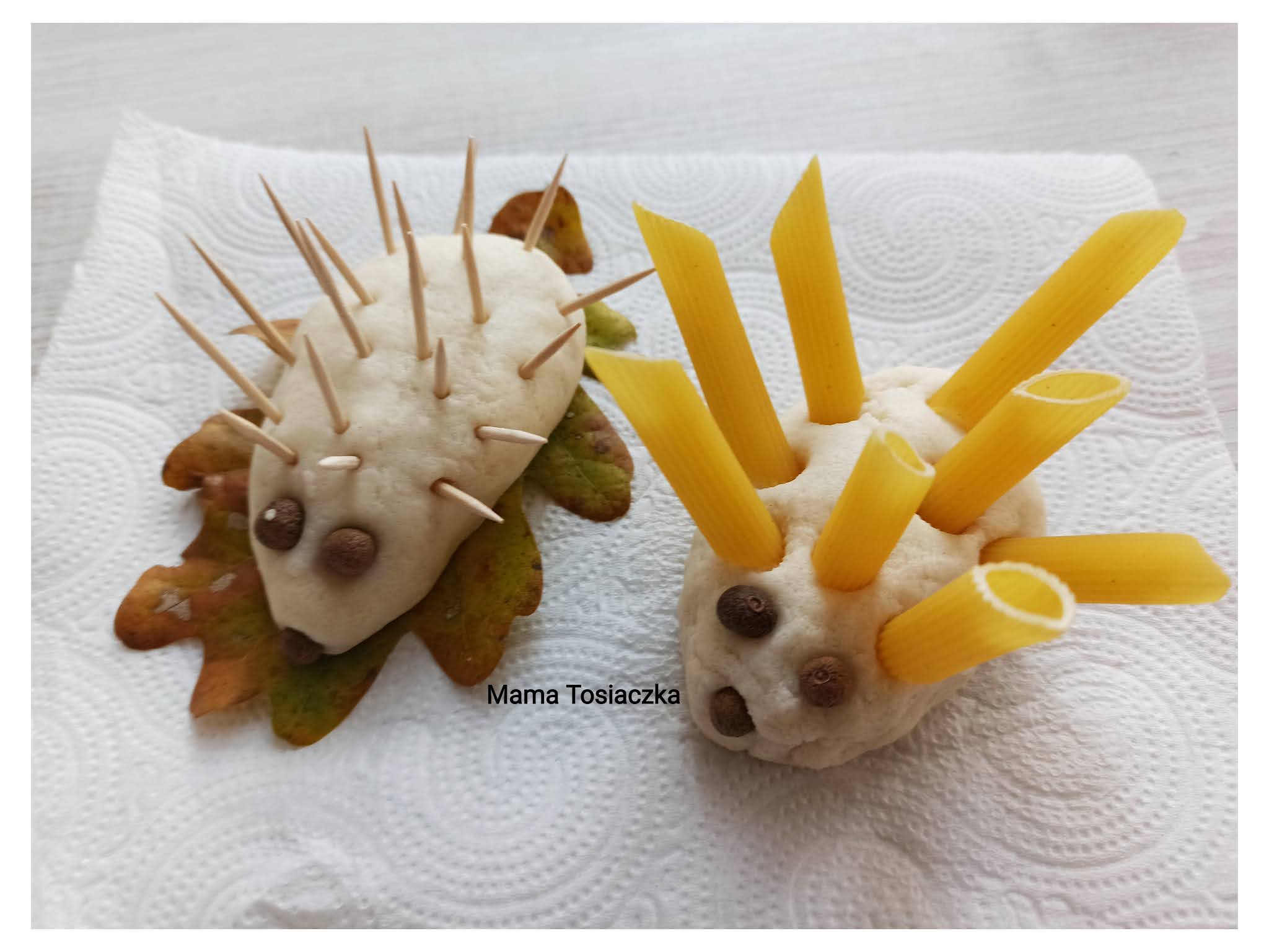 Dzień Jeża w przedszkolu - Pomysły na ciekawe i kreatywne zajęcia w grupie.