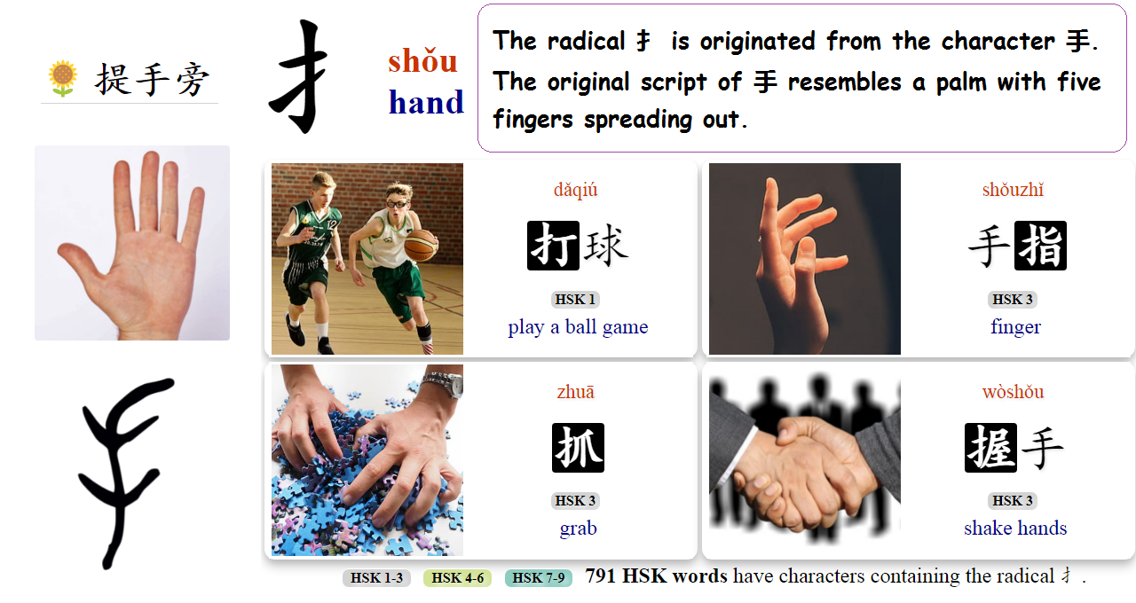 每日中文 Daily Zhongwen: 【Part 1】 № 1 - 21 Chinese Radicals 汉字部首: 手, 爪, 足, 走