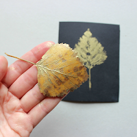 Tina's handicraft : Create Nature Tags Printed