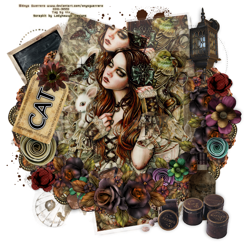 Vix PSP CT : CT Tag - Ladyhawwk Design - Vintage