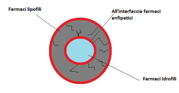Chimico nato: Liposomi
