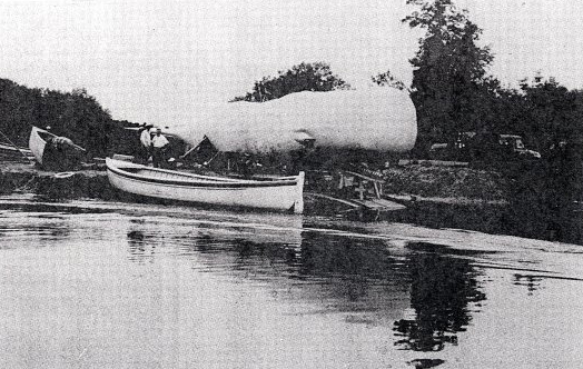 AF Blog: Moby Dick Hunt at Pleasure Island, Wakefield, Massachusetts