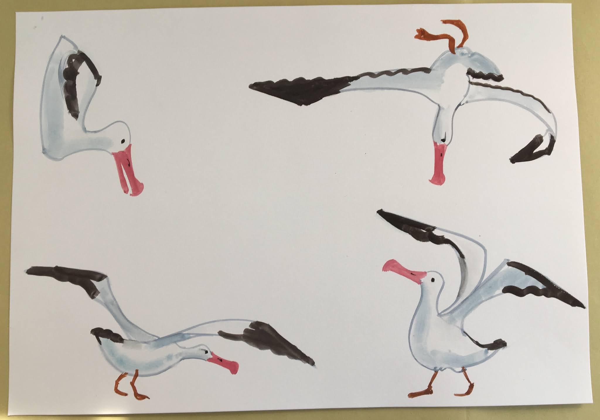 Picture Book Party: Ride the Wind by Nicola Davies & Salvatore Rubbino ...