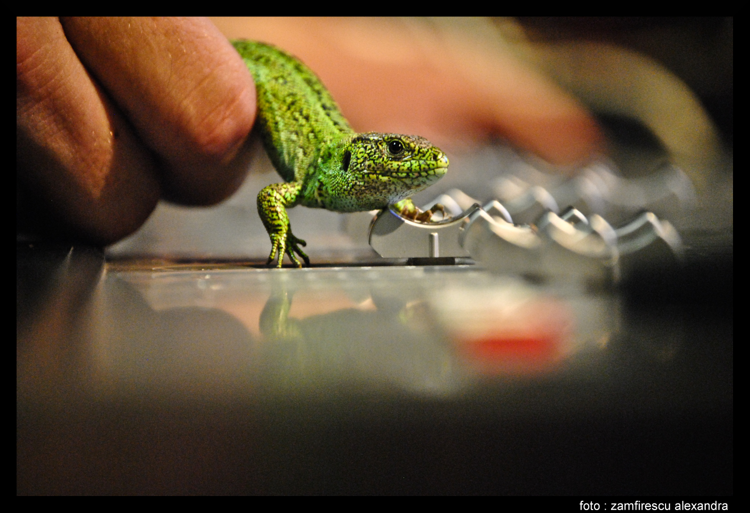 Simple Lady Photography...: MC GuSHter...